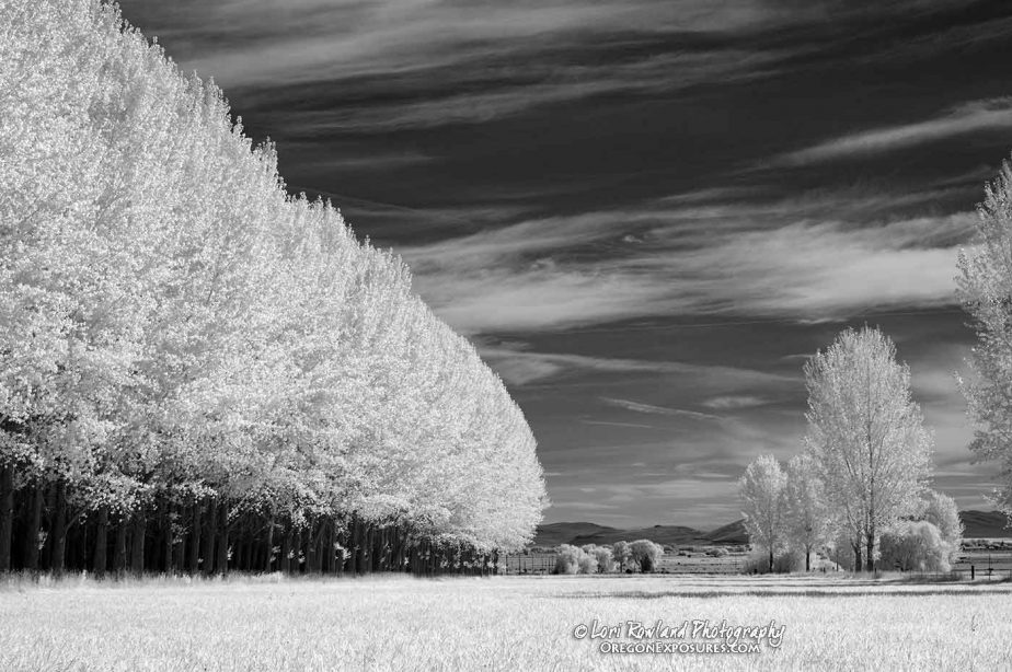 How to get started in Infrared Photography | Oregon Exposures